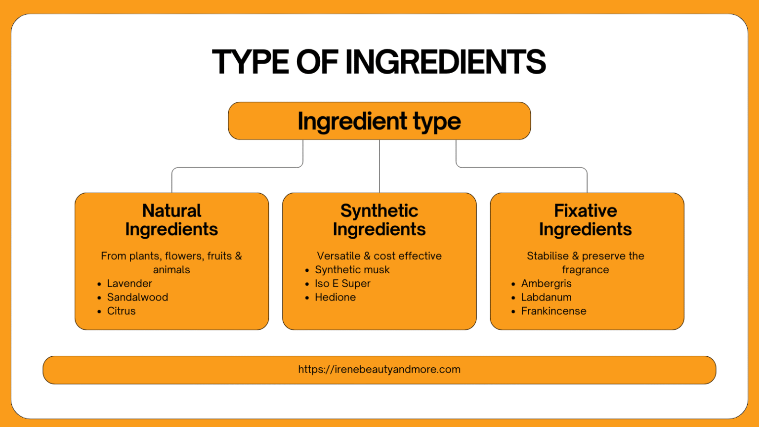Perfume 101: Everything You Need to Know About Fragrance