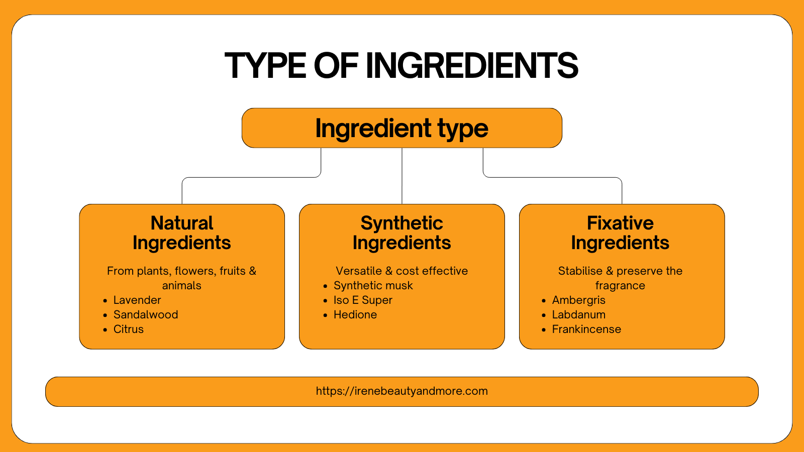 Perfume 101: Everything You Need to Know About Fragrance