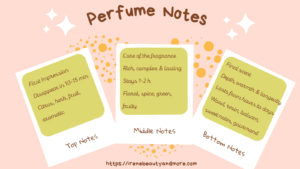 Perfume 101: Everything You Need to Know About Fragrance